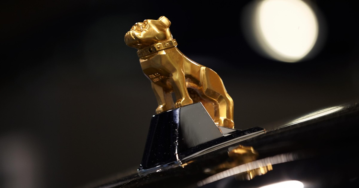 What Does A Gold Mack Bulldog Mean