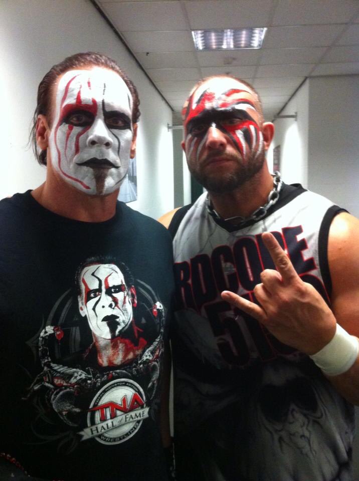 Sting Vs Bully Ray
