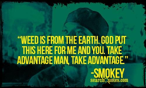 Weed Quotes For Guys 50+ Funny Weed Quotes And Sayings Tuko.co.ke