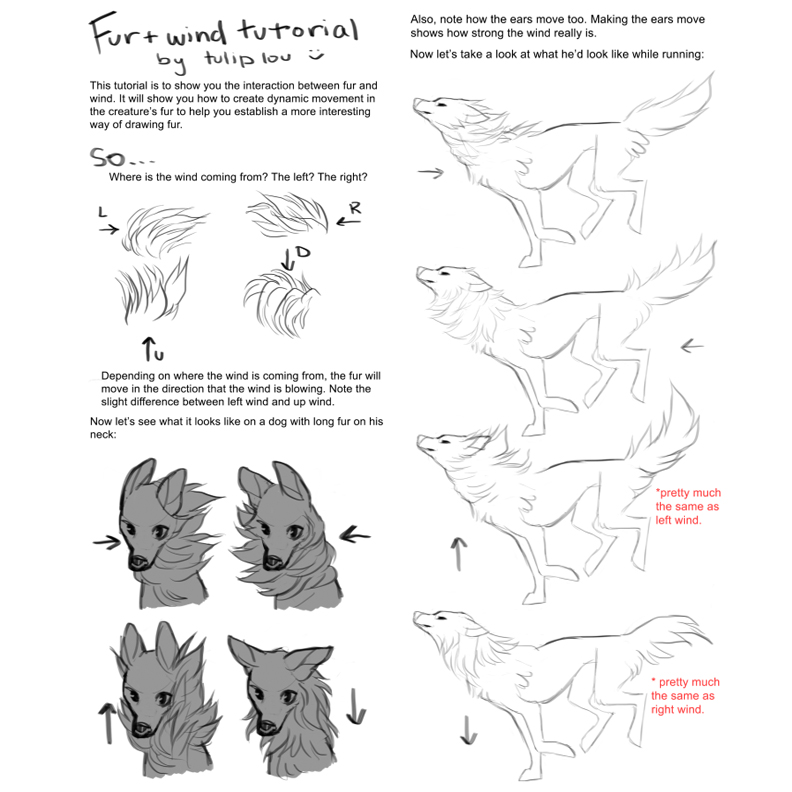 Wolf Running Drawing Tutorial