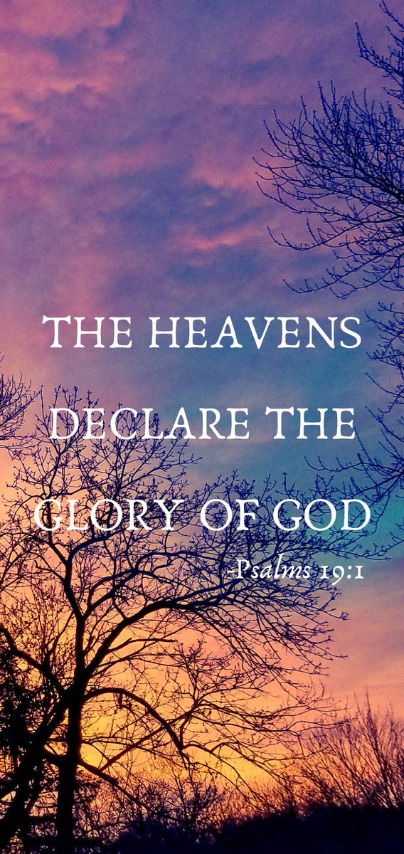 Mark Peeples (@MarkPeeples13) | Twitter