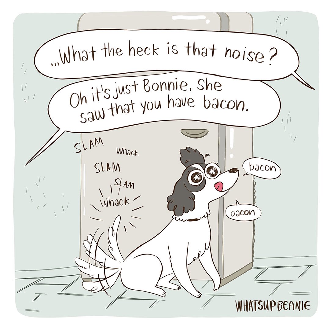 「And that is the story of how I once had a whole lunchbox wor」Beanie 🐶の漫画