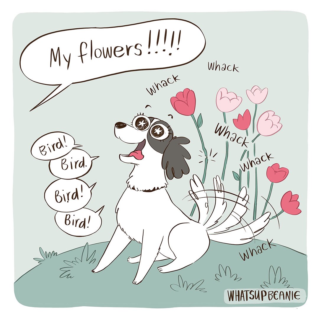 「And that is the story of how I once had a whole lunchbox wor」Beanie 🐶の漫画