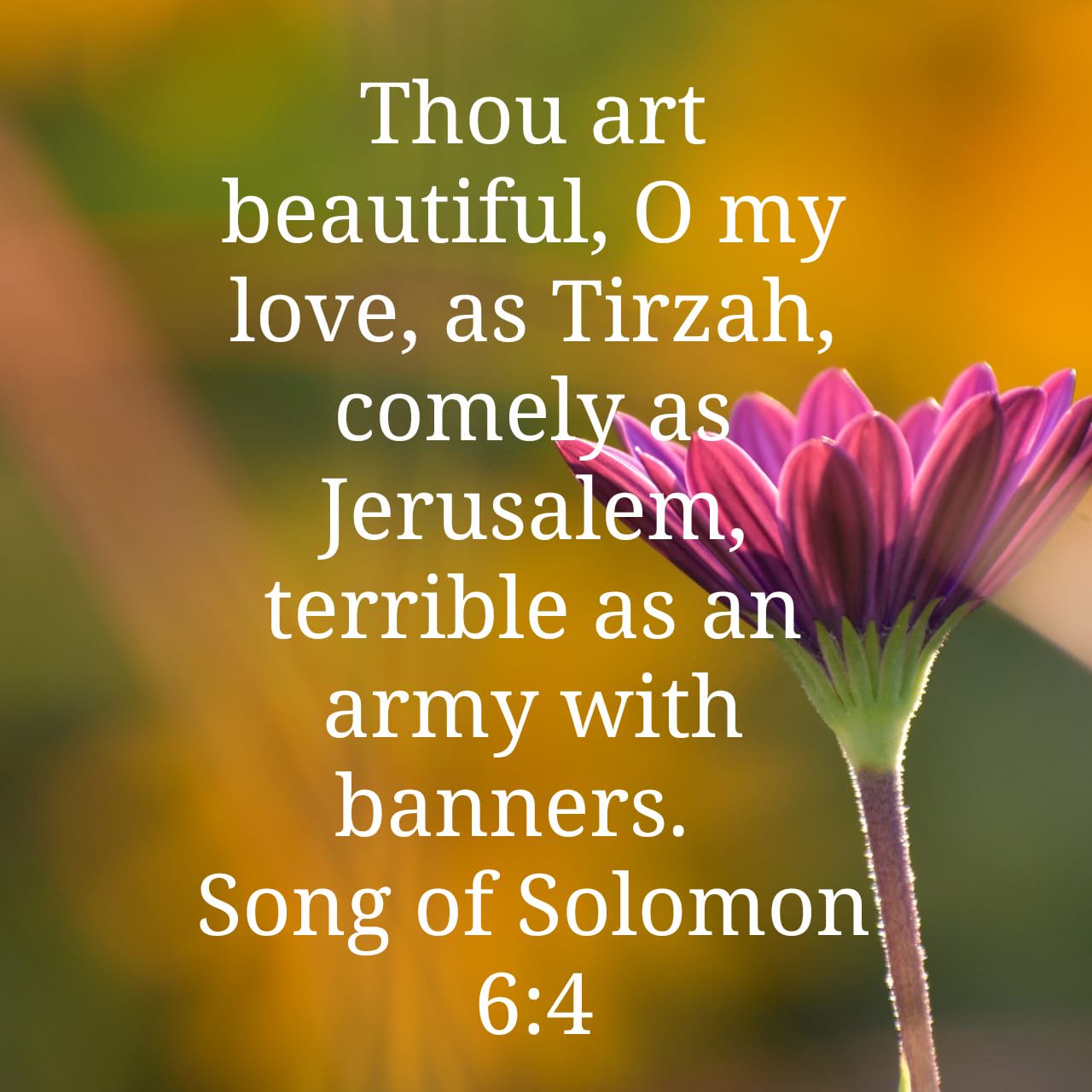 Hebrew Romantic Quotes A Lifestyle Of Peace: Hebrew Word Study: