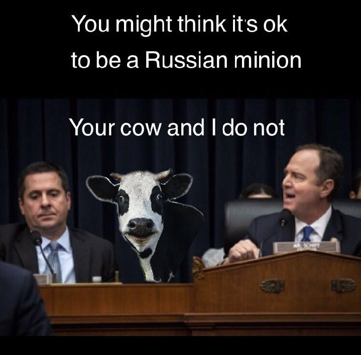 Devin Nunes’ cow 🐮 on Twitter: "@tobymorton #NunesClassics https://t.co/VBFIUv3ntJ" / Twitter