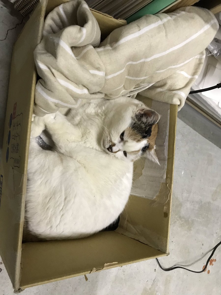 「@azirusi 」小田 隆 Oda Takashiの漫画