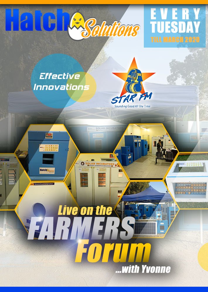 Hatch Solutions Zim (@solutions_hatch) | Twitter