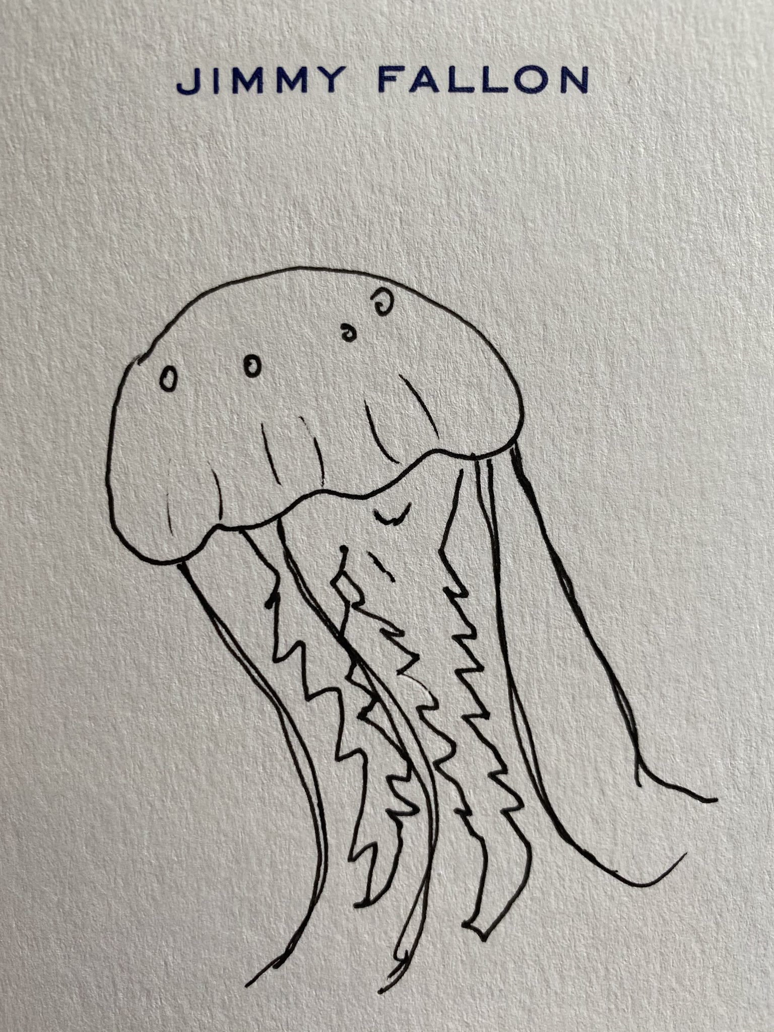 Jimmy Fallon Drawing