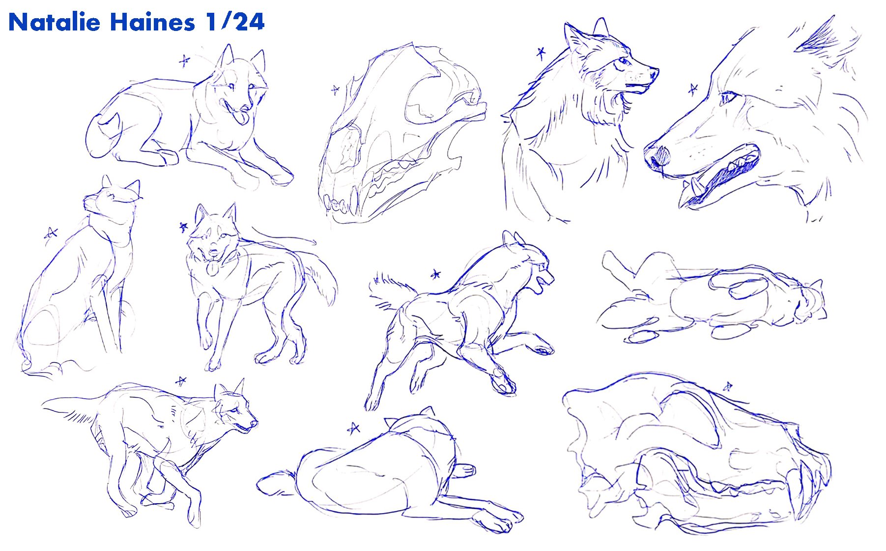 Wolf Running Drawing