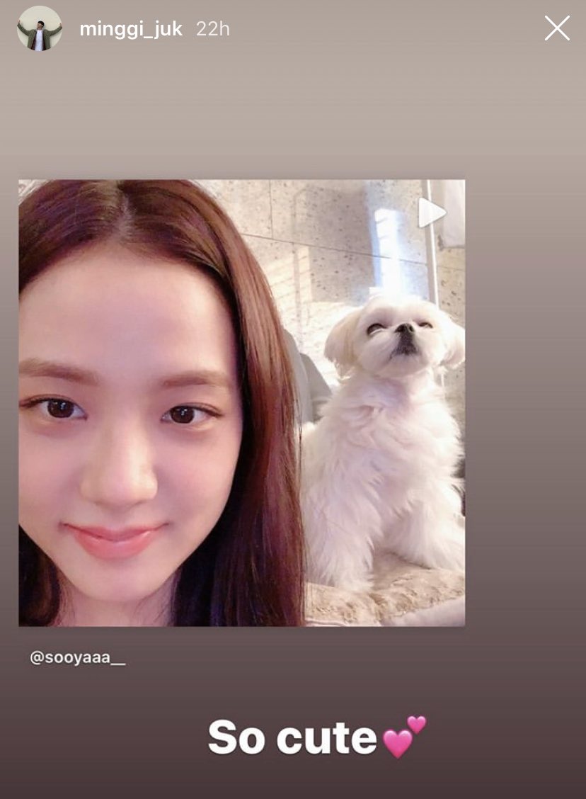 Minki Hong's Instagram, Twitter & Facebook on IDCrawl