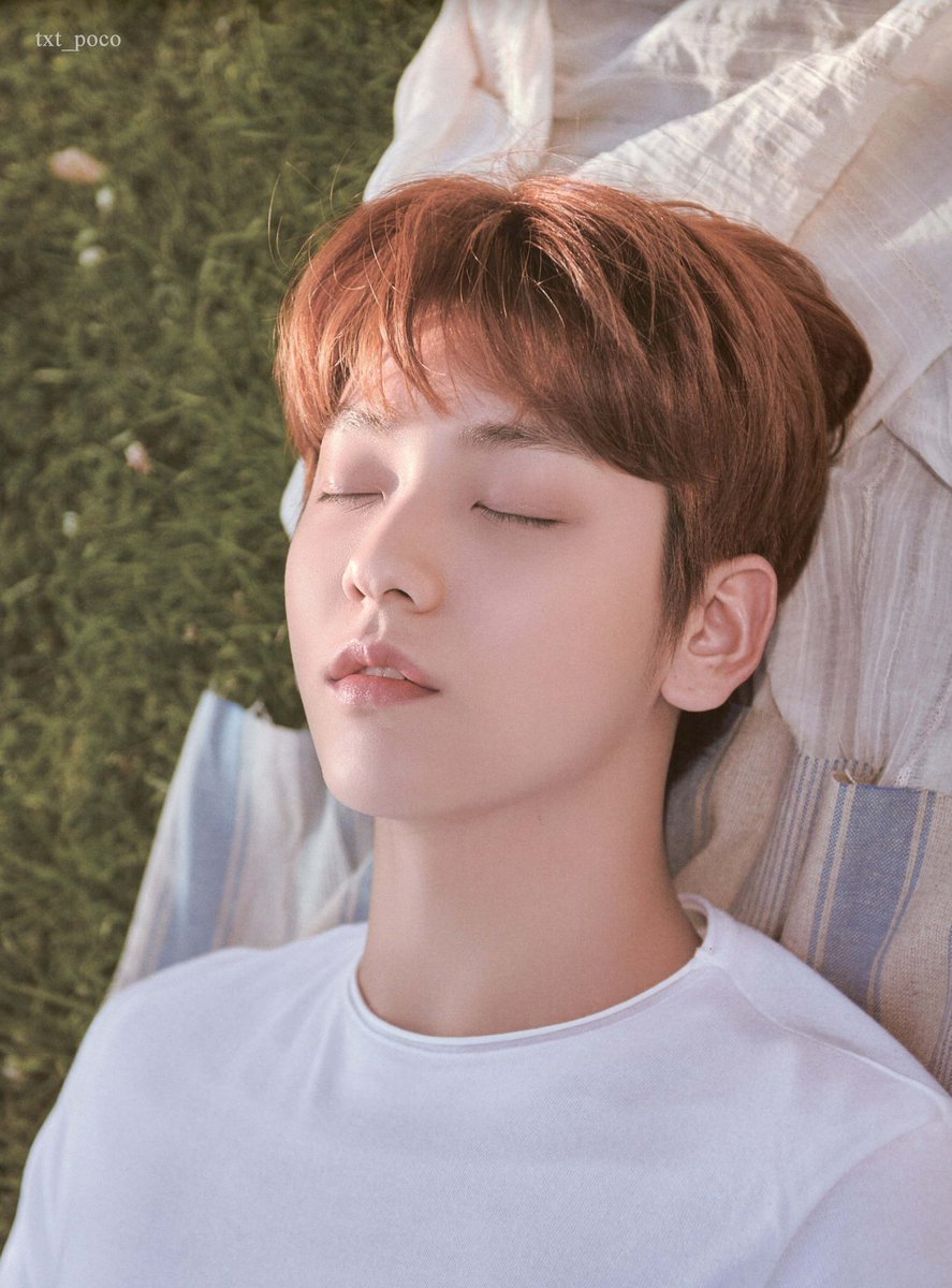 UniPinguid (@UPinguid) | Twitter