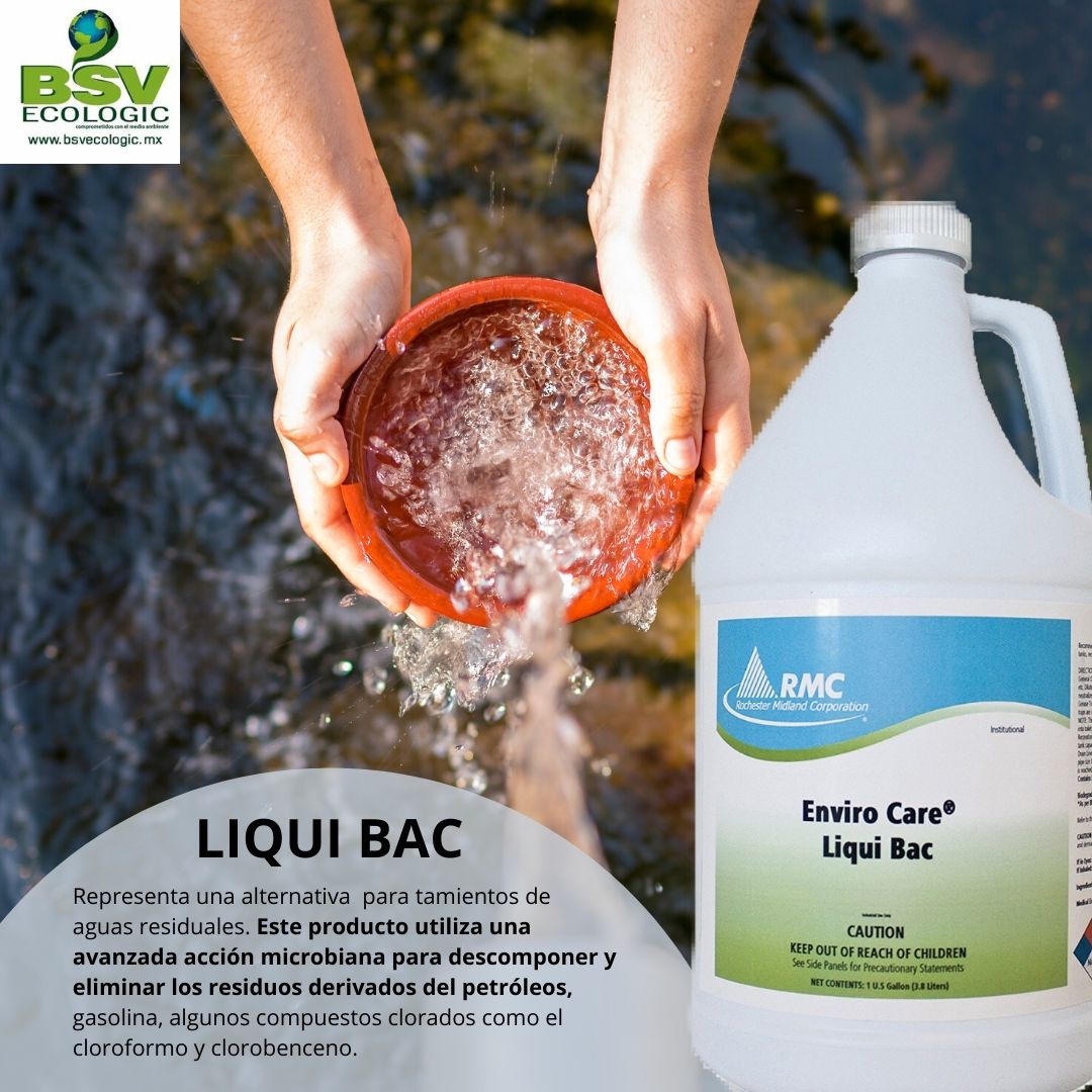 BSV Ecologic (@bsv_ecologic) | Twitter