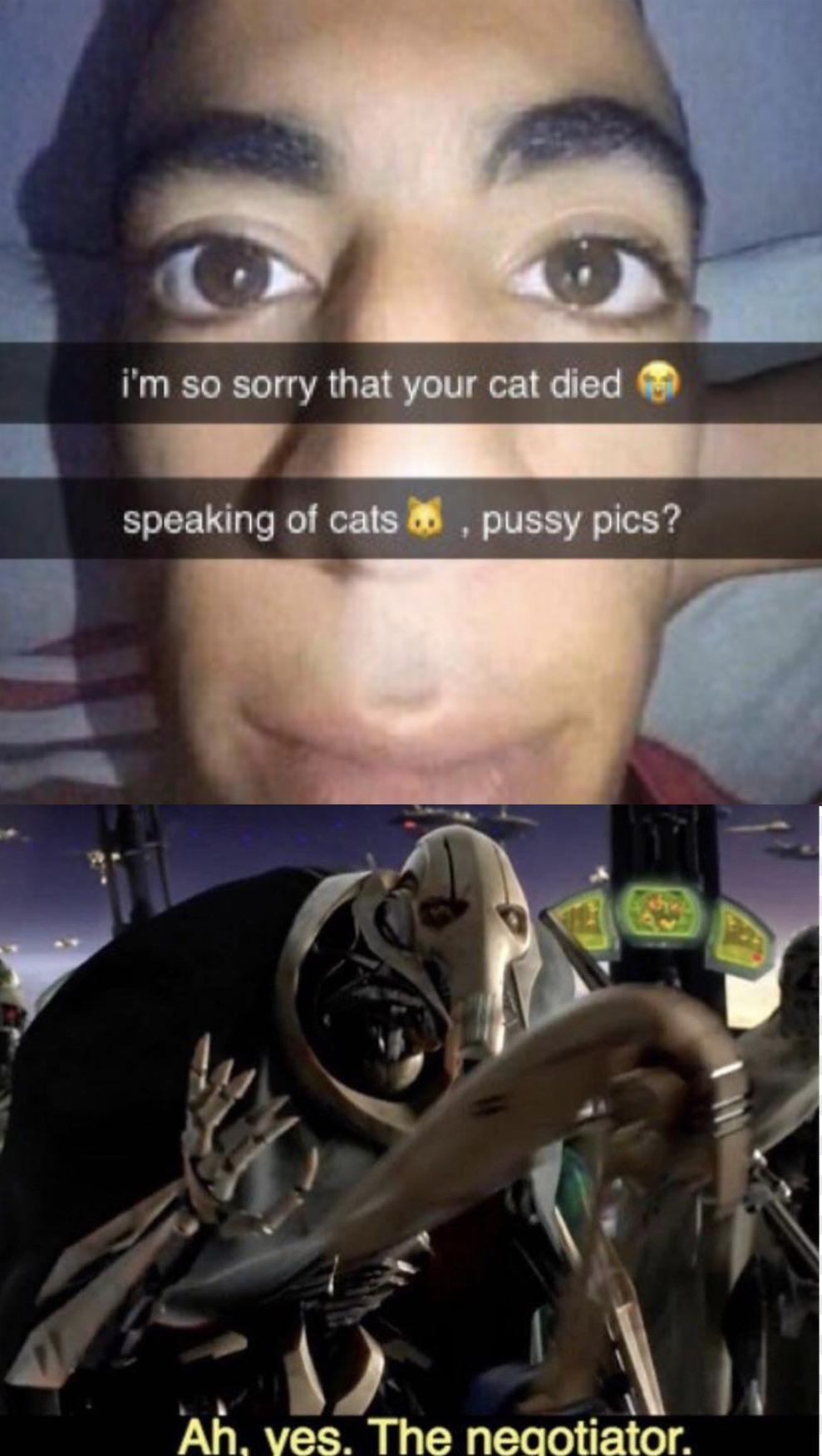 Elongated Face Meme Why The Long Face Horse Lover Funny Meme Joke T