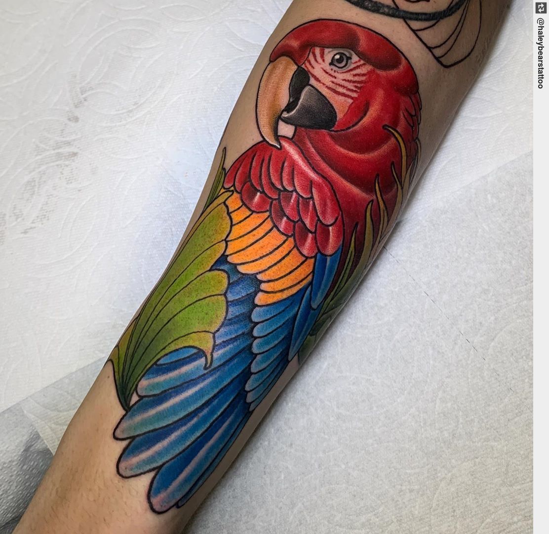 Scarlet Macaw Tattoo Scarlet Macaw Art Stock Illustrations – 958