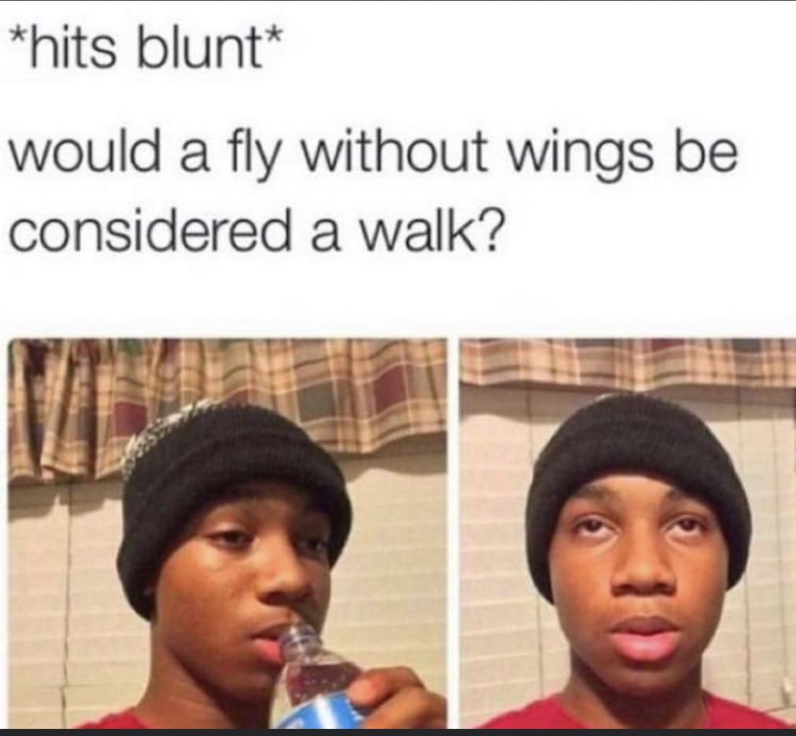 Hits Blunt Meme No Words