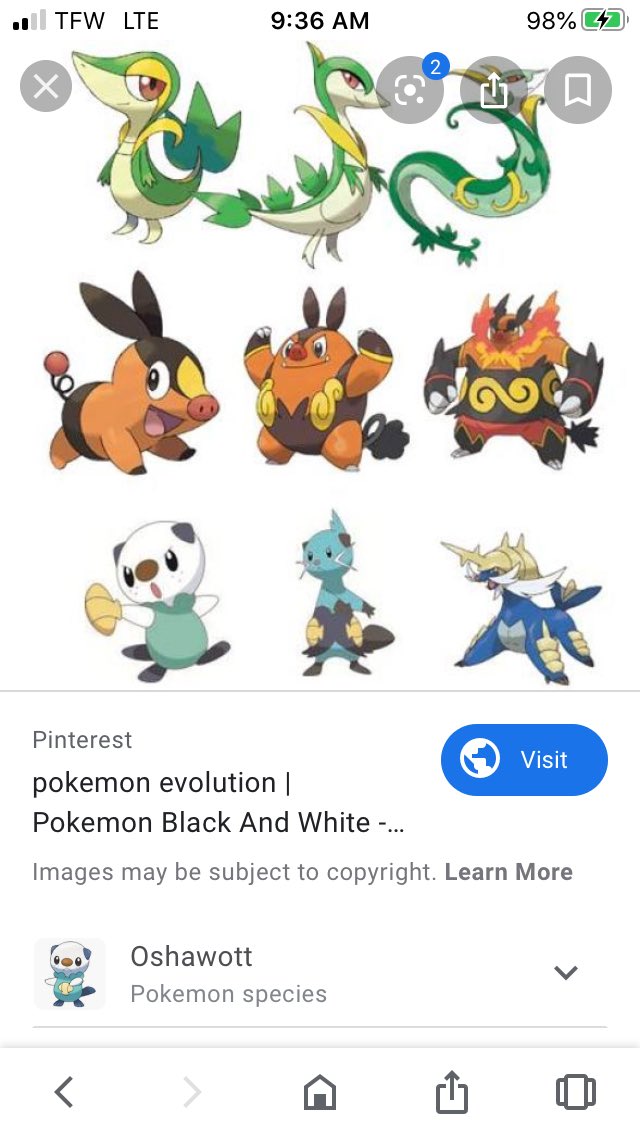 Pokemon Black And White Evolution