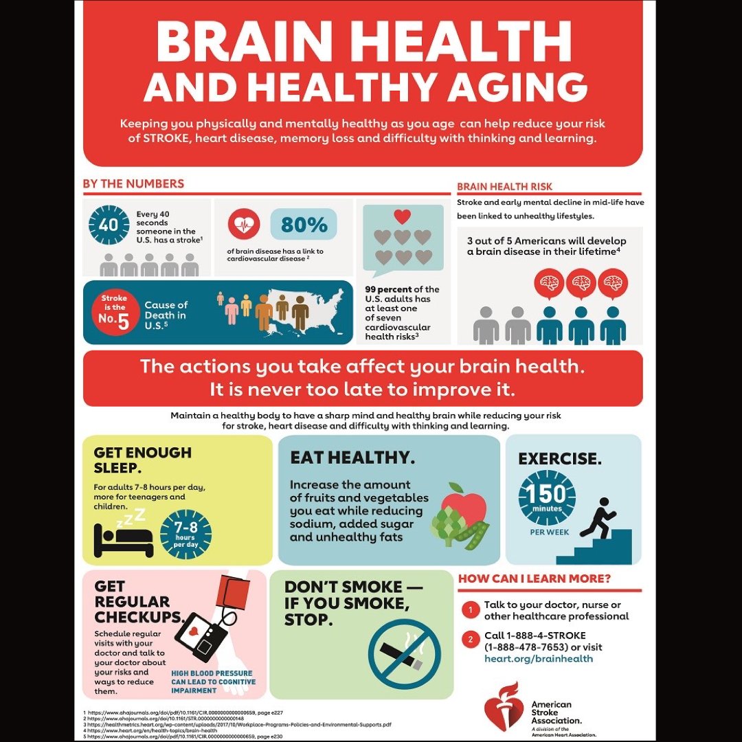 Brain Infographic Pdf