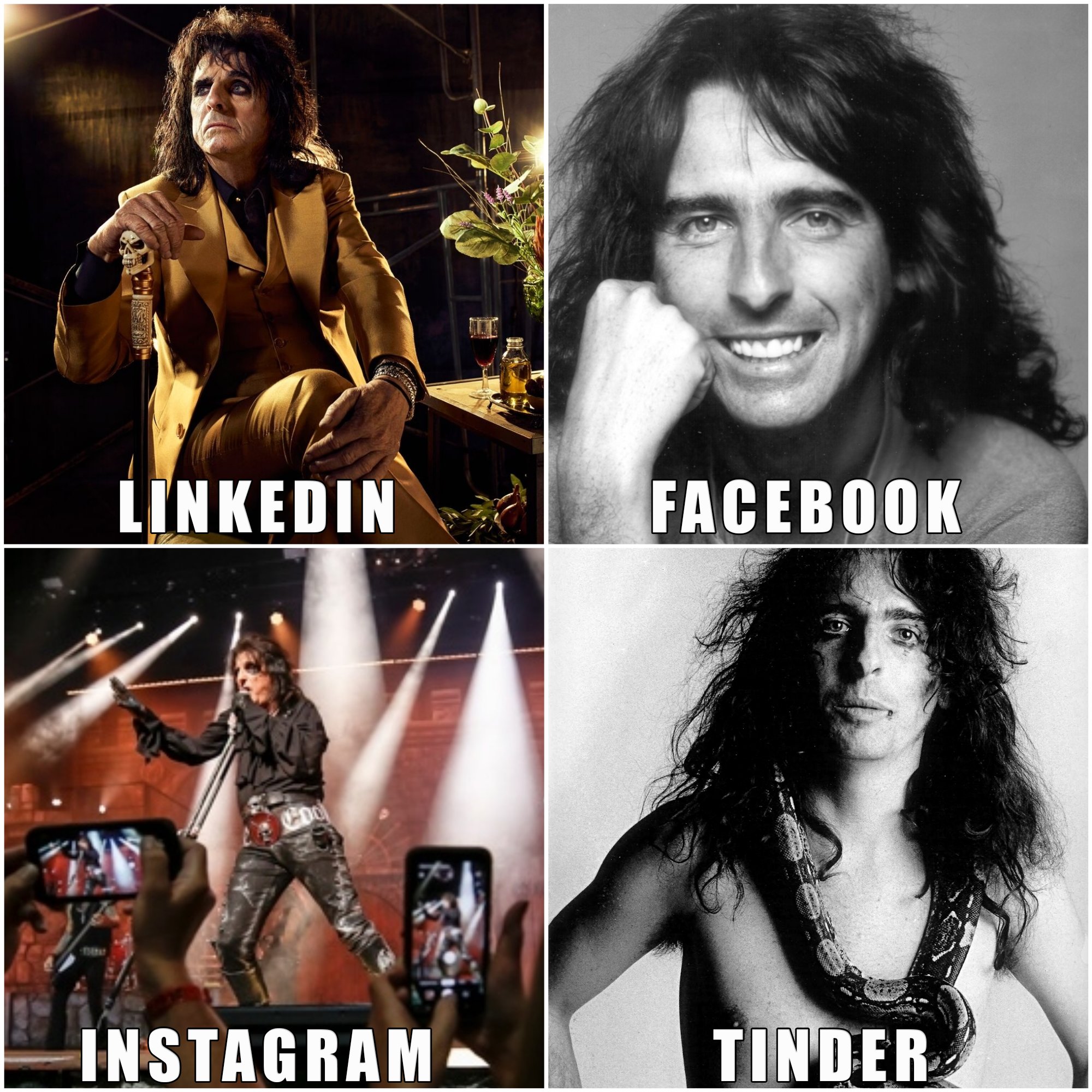 Alice Cooper Memes