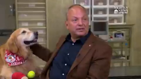 Scout is part of David MacNeil's family. That's why MacNeil ...