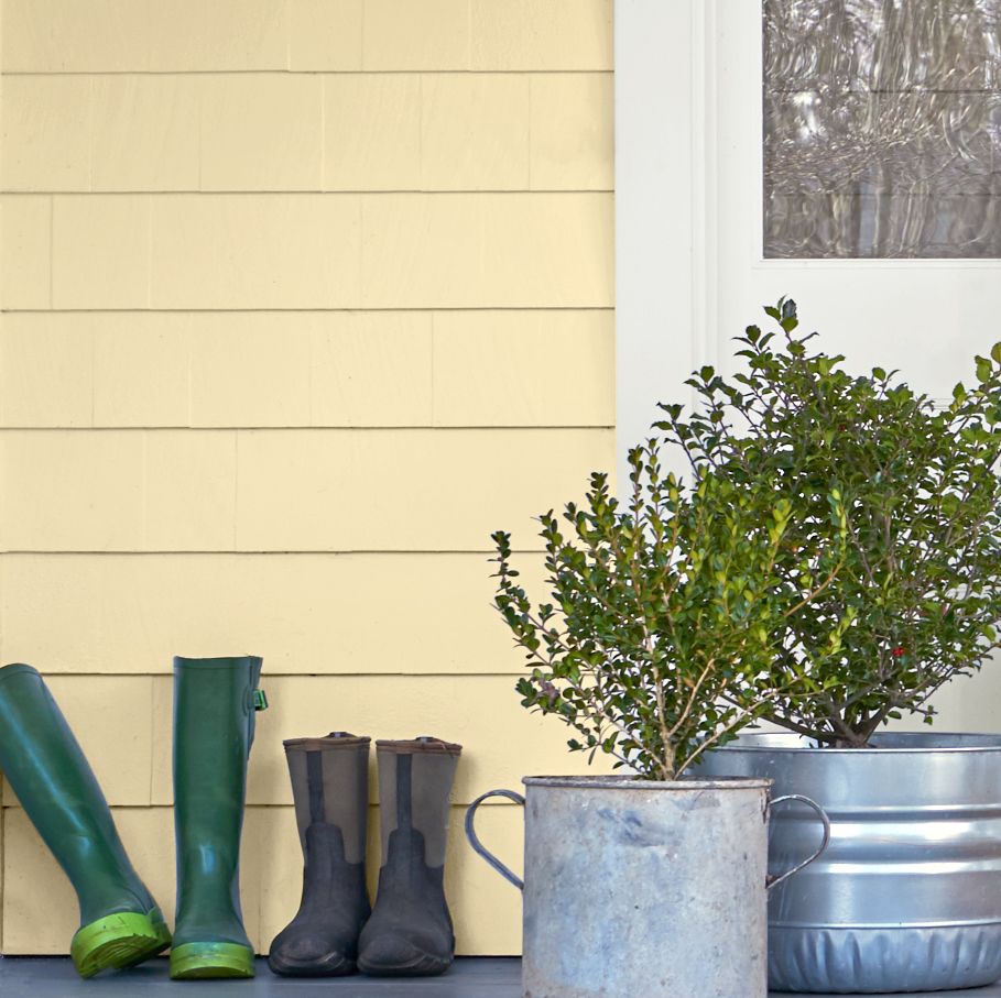 Benjamin Moore Weston Flax