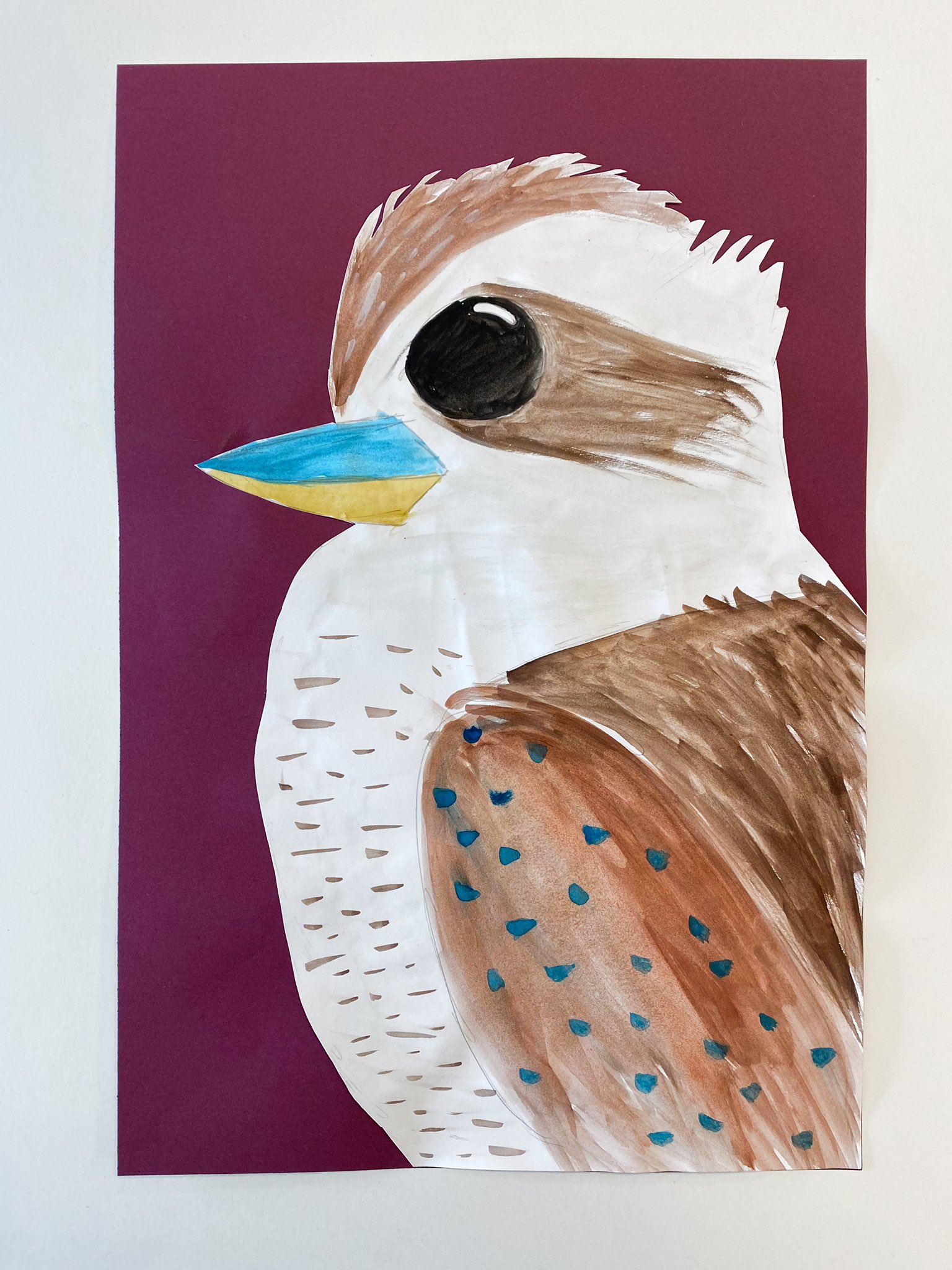 Erin Ward on Twitter: "Last week, 5th grade students finished their ...