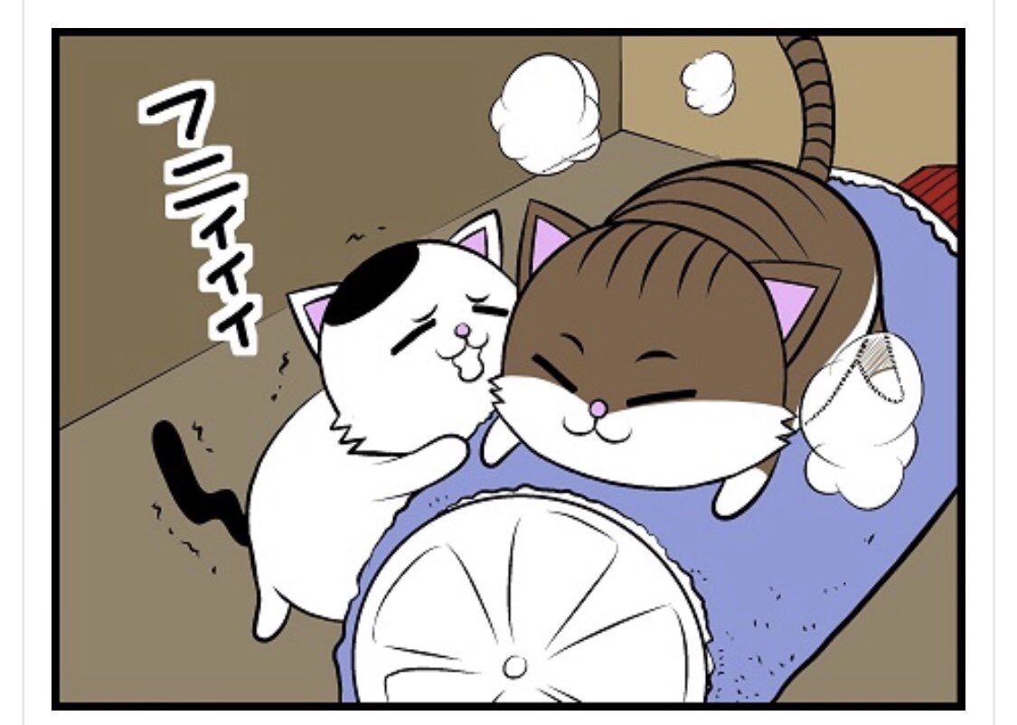 「6回目が更新されました? 案の定、ワガママに育ちました笑 よろしくお願いしま」|小西 真冬の漫画