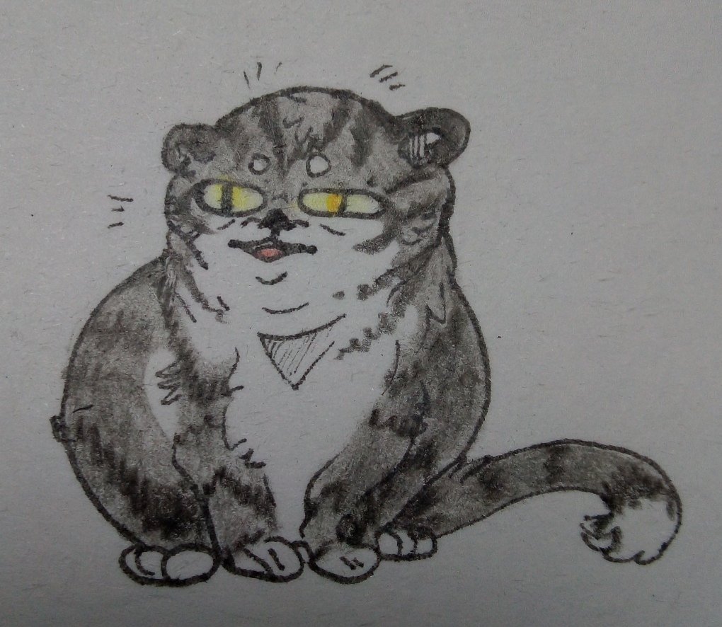 Tamiri-K-Y (@_prosto_chel_) | Twitter