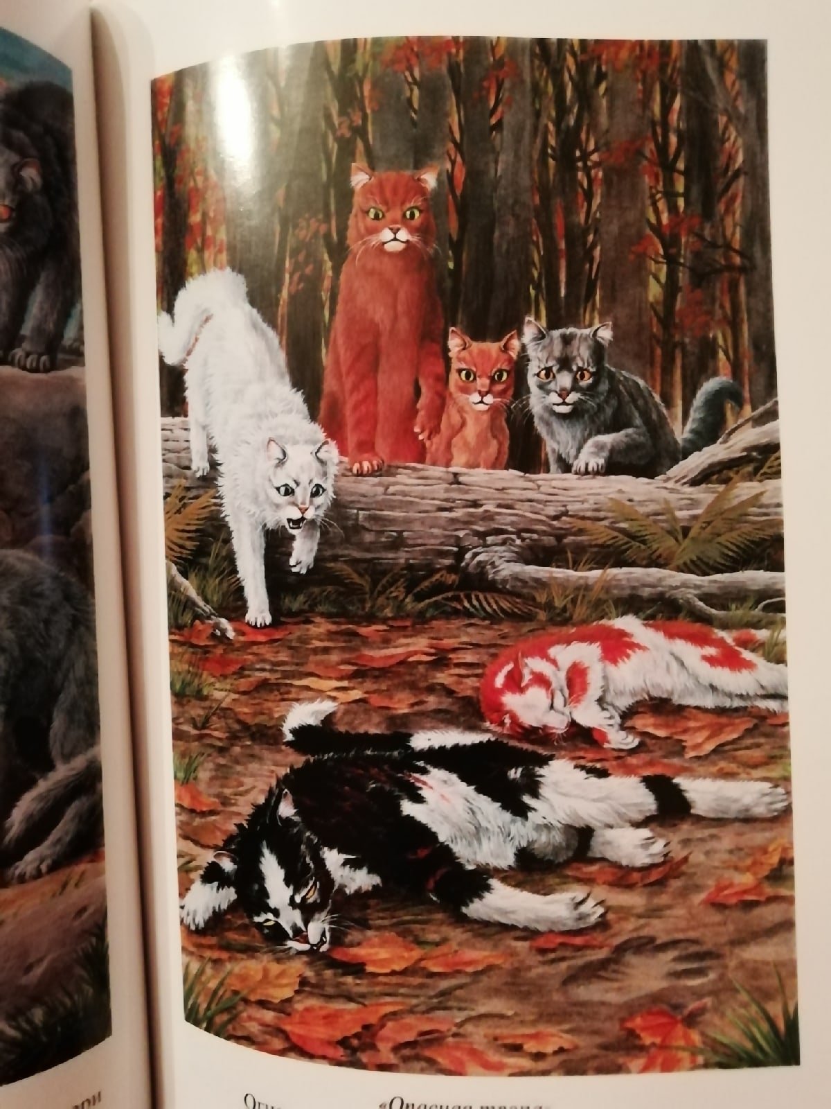 Fireheart And Cloudtail