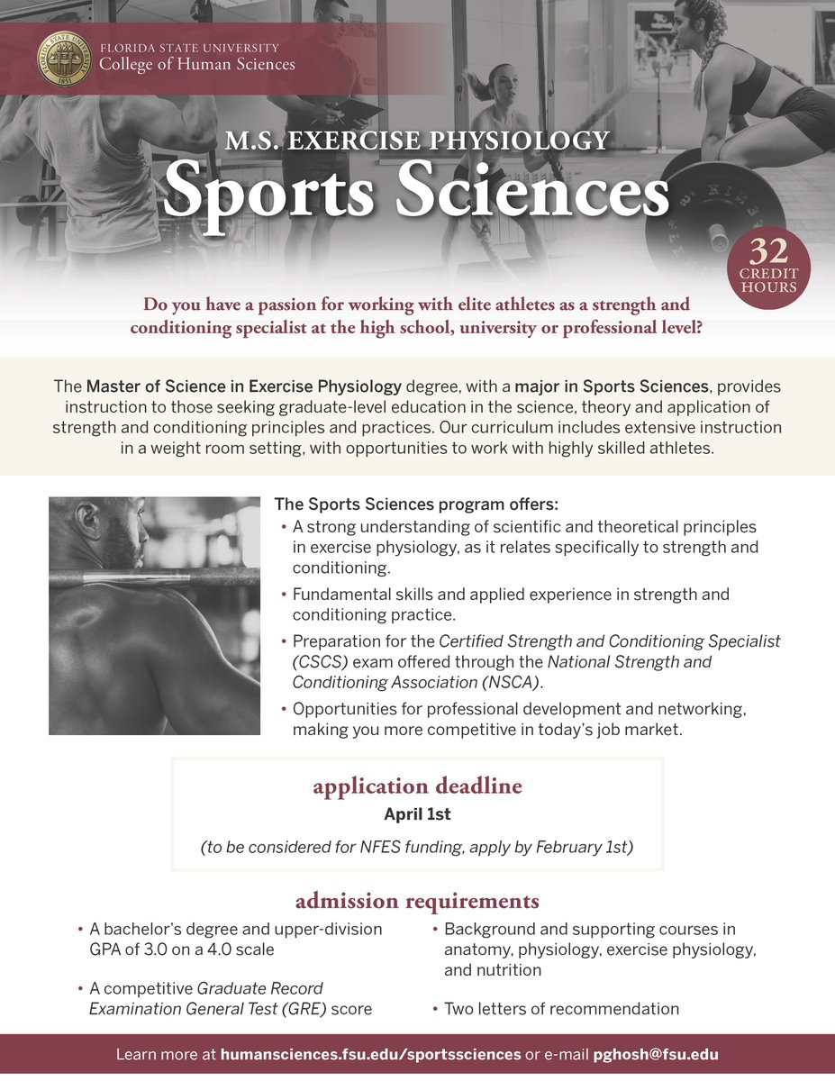 Insanity Elite Nutrition Plan Español | Besto Blog