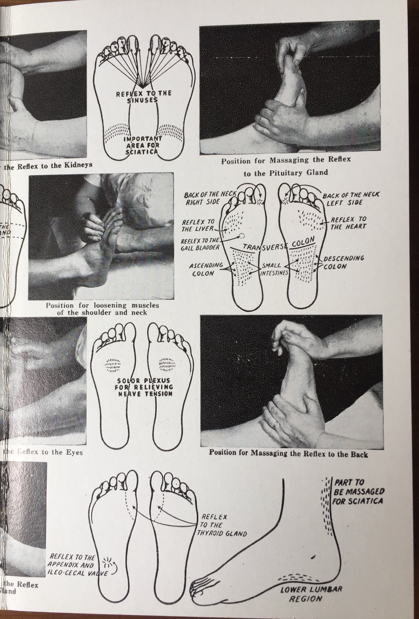 Tony Porter On X: Part Of A Eunice Ingham Chart (1938) She, 57% OFF