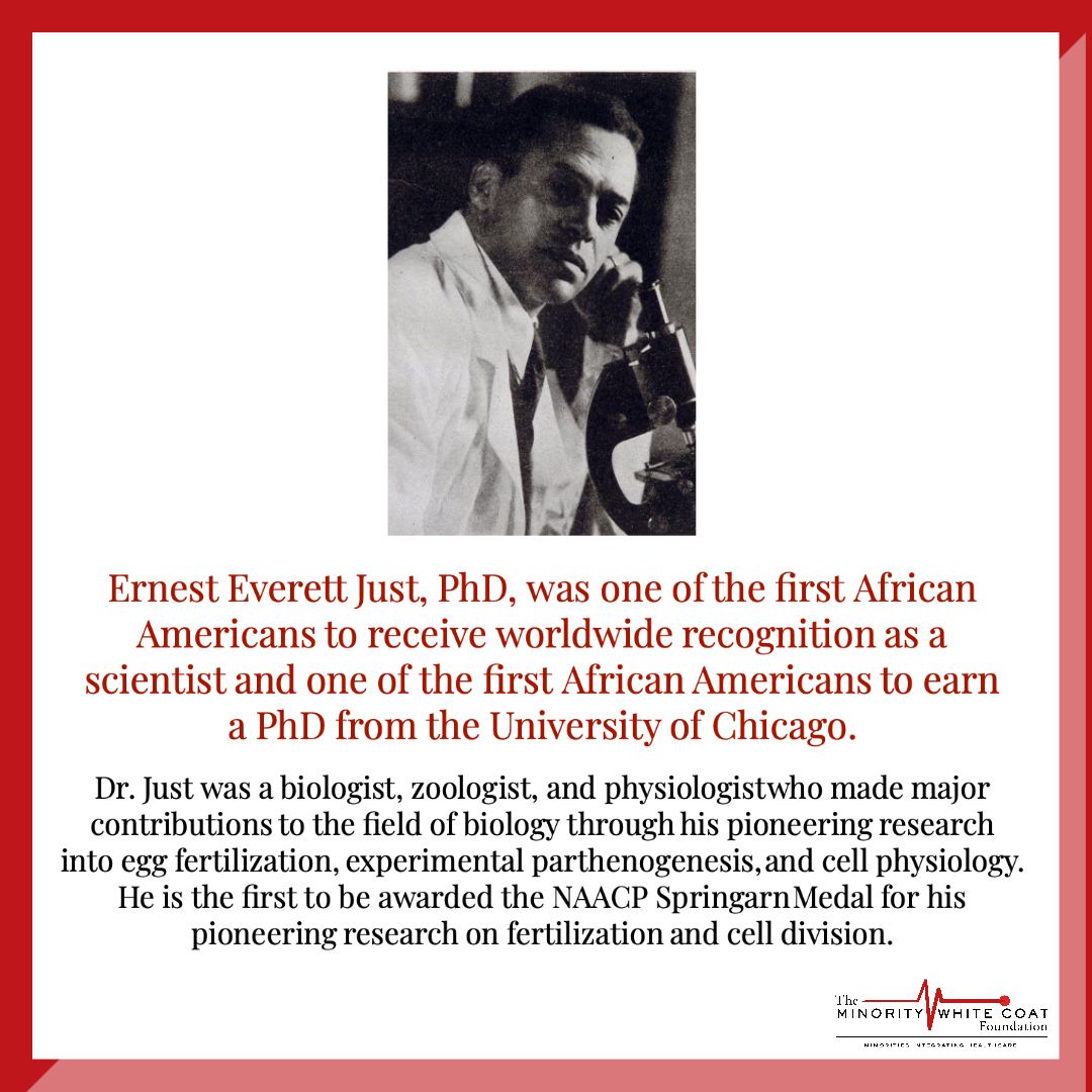 MWC Foundation on Twitter: "For #BlackHistoryMonth, we are honoring ...