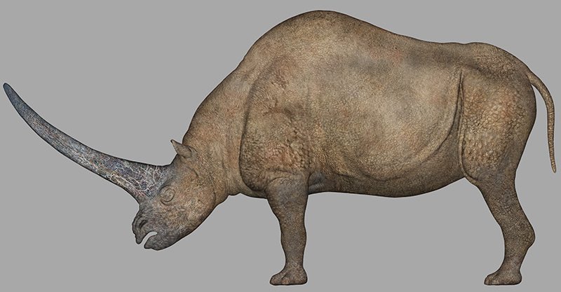 Elasmotherium Prehistoric Park Prehistoric Park Art By Arturo García.