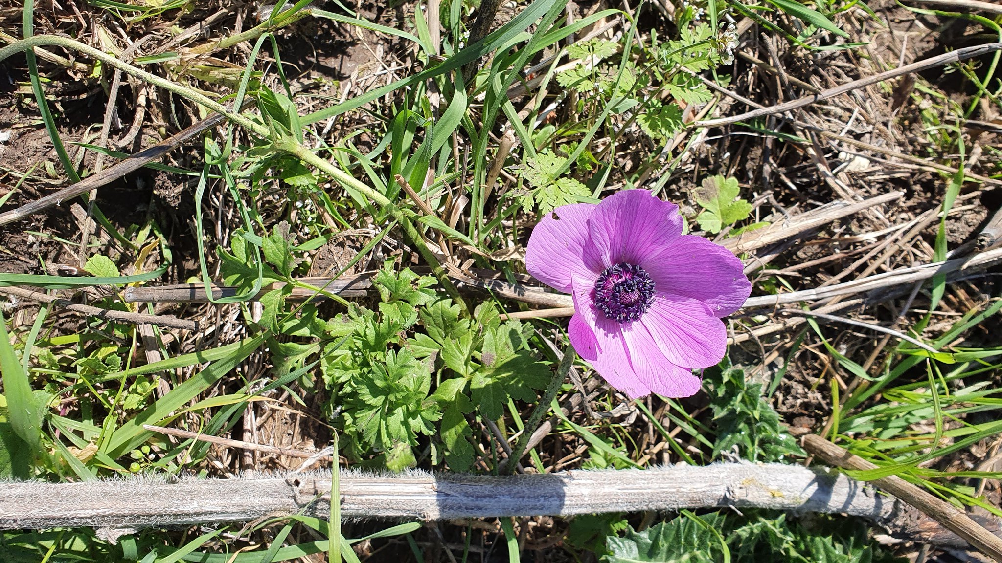 Lior Gutman ליאור גוטמן on Twitter: "הנוף והשמש מגיעים עם פכפוך מים ברקע #עין_השופט…