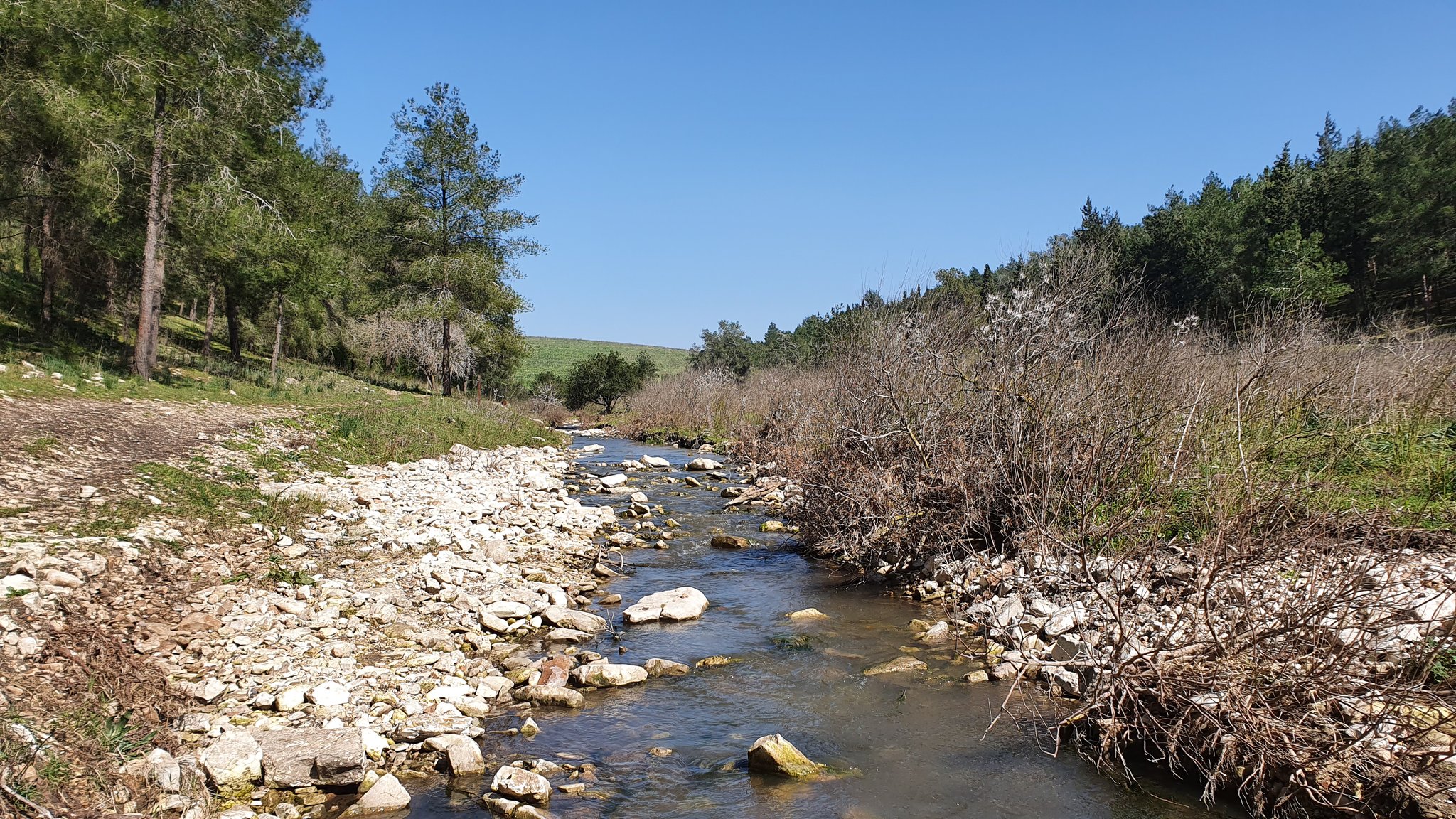 Lior Gutman ליאור גוטמן on Twitter: "הנוף והשמש מגיעים עם פכפוך מים ברקע #עין_השופט…