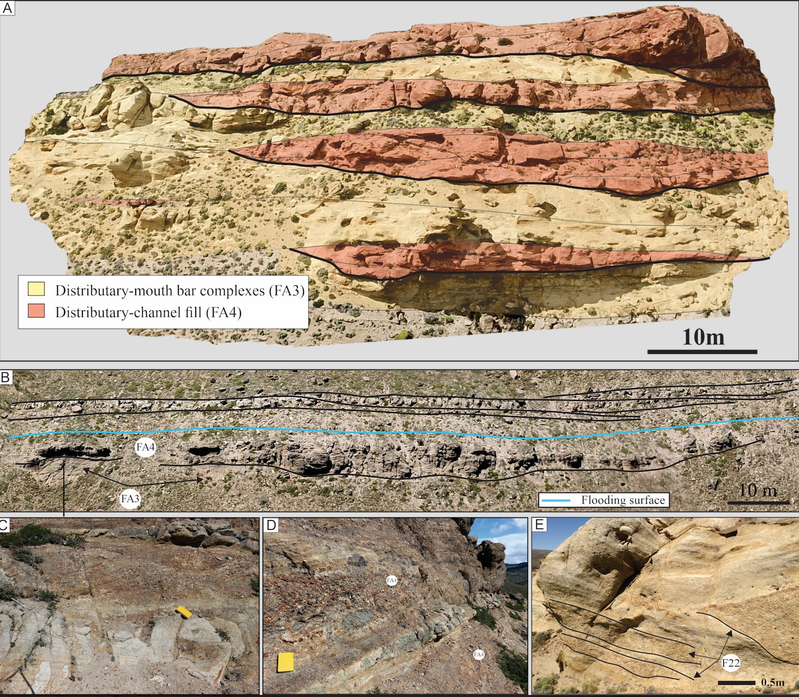 Distributary Channel