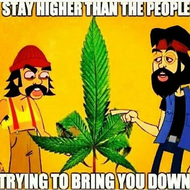Weed Hater Memes Cannabis Memes, The Best Of The Best Alchimia Grow