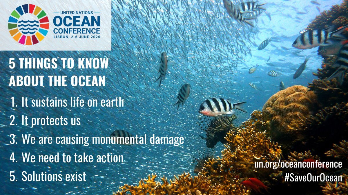 UN Environment Programme on Twitter: "The ocean🌊 protects us & sustains ...