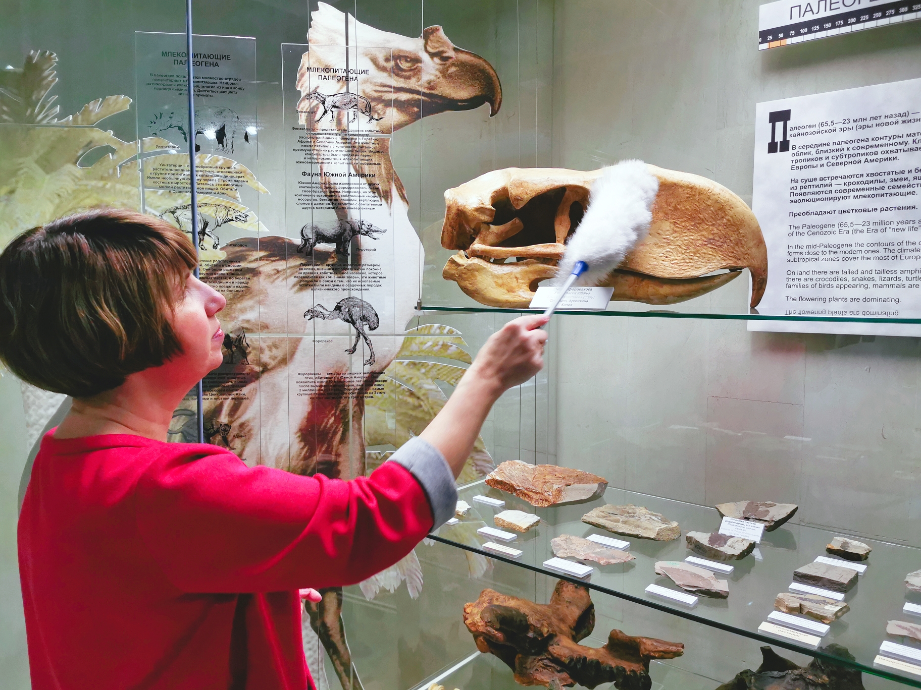 State Darwin Museum on Twitter: "#behindthescenes #SneakPeek Today all @darwinmuseum employees ...