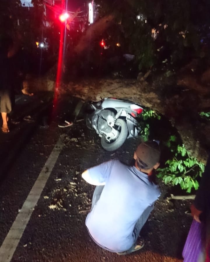 Viral Kejadian Tertimpa Pohon Di Sleman Istri Keguguran Dan Patah