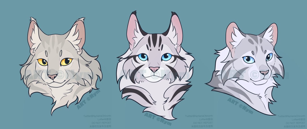 Silverstream And Feathertail