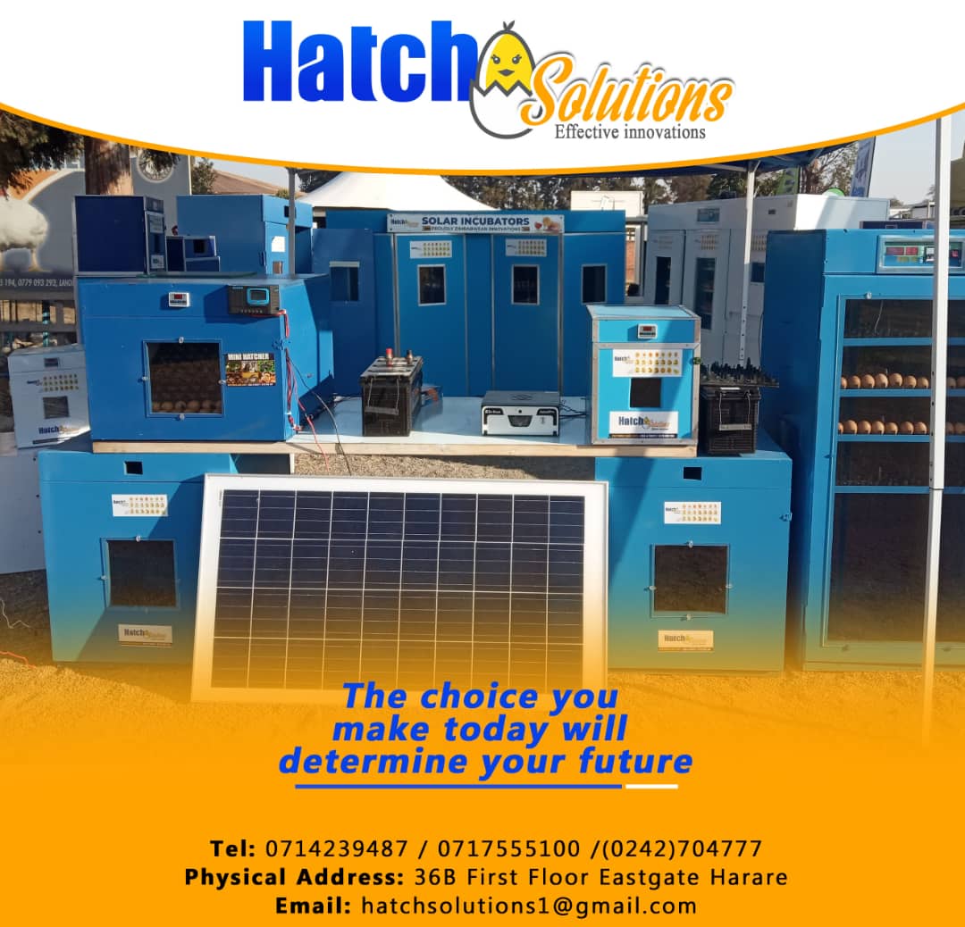 Hatch Solutions Zim (@solutions_hatch) | Twitter