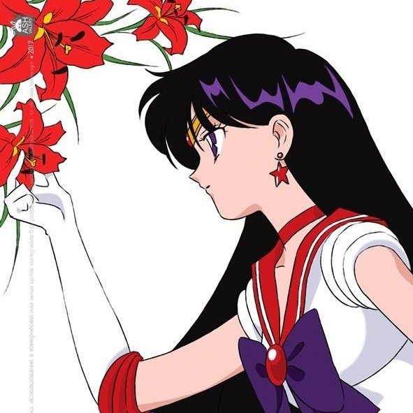Sailor Mars Transparent