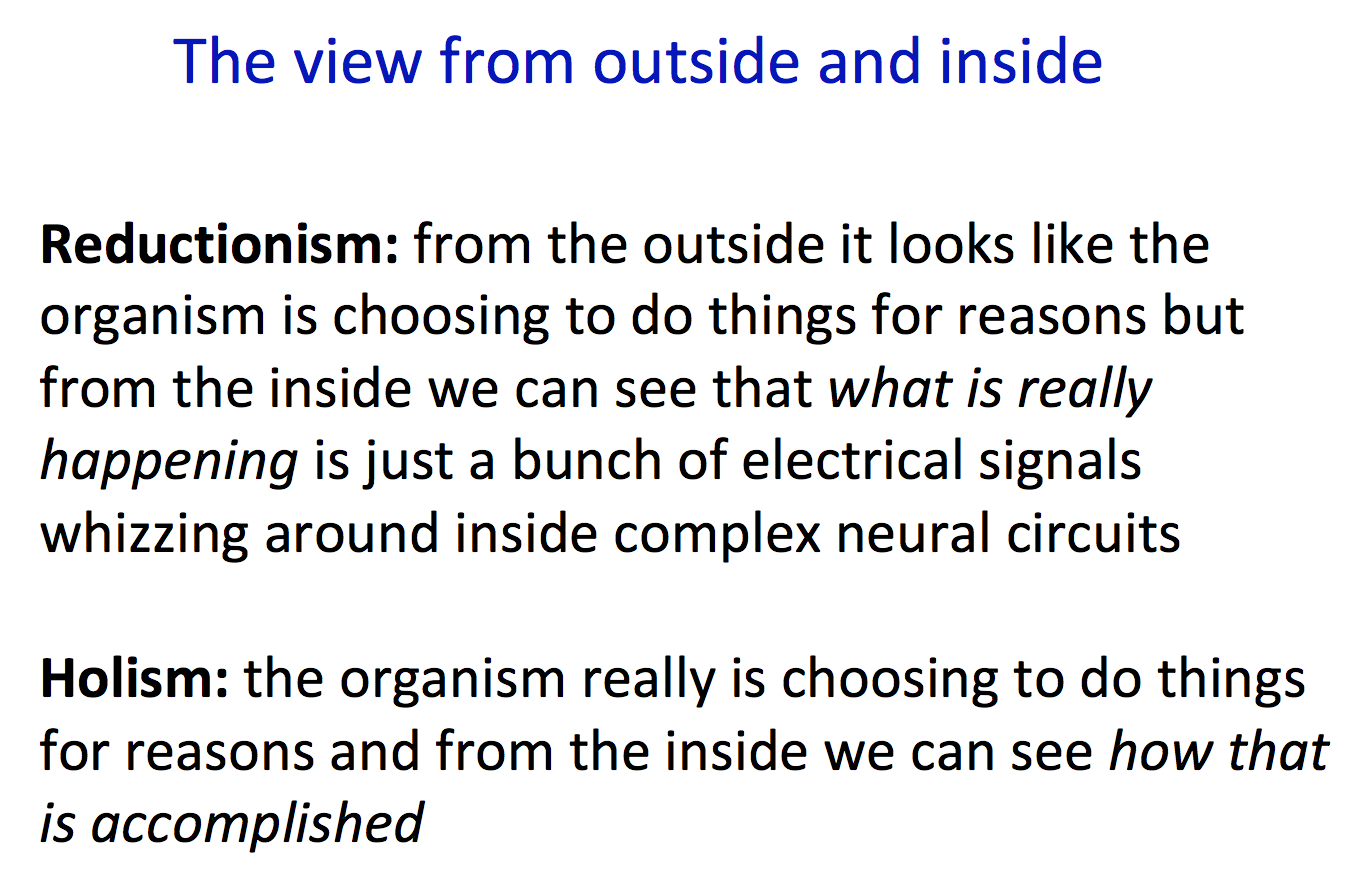 Reductionism Vs Holism Issues And Debates Full Notes And Evaulation