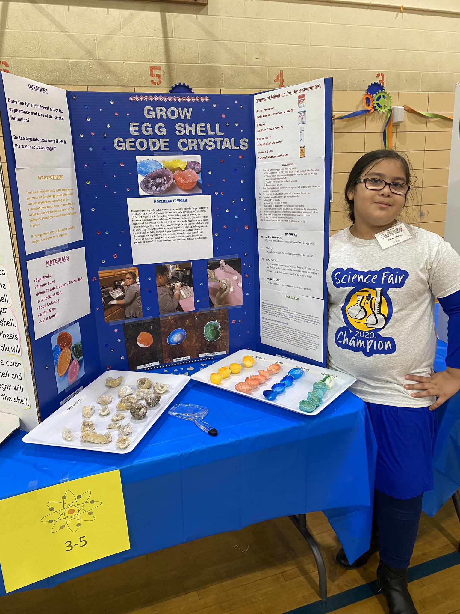 Alum Crystals Science Project