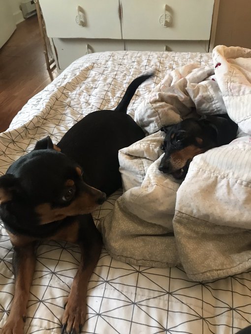 TW Pornstars - Gurl Haggard 🎰💫 ️‍🔥. Pictures and videos from Twitter ...