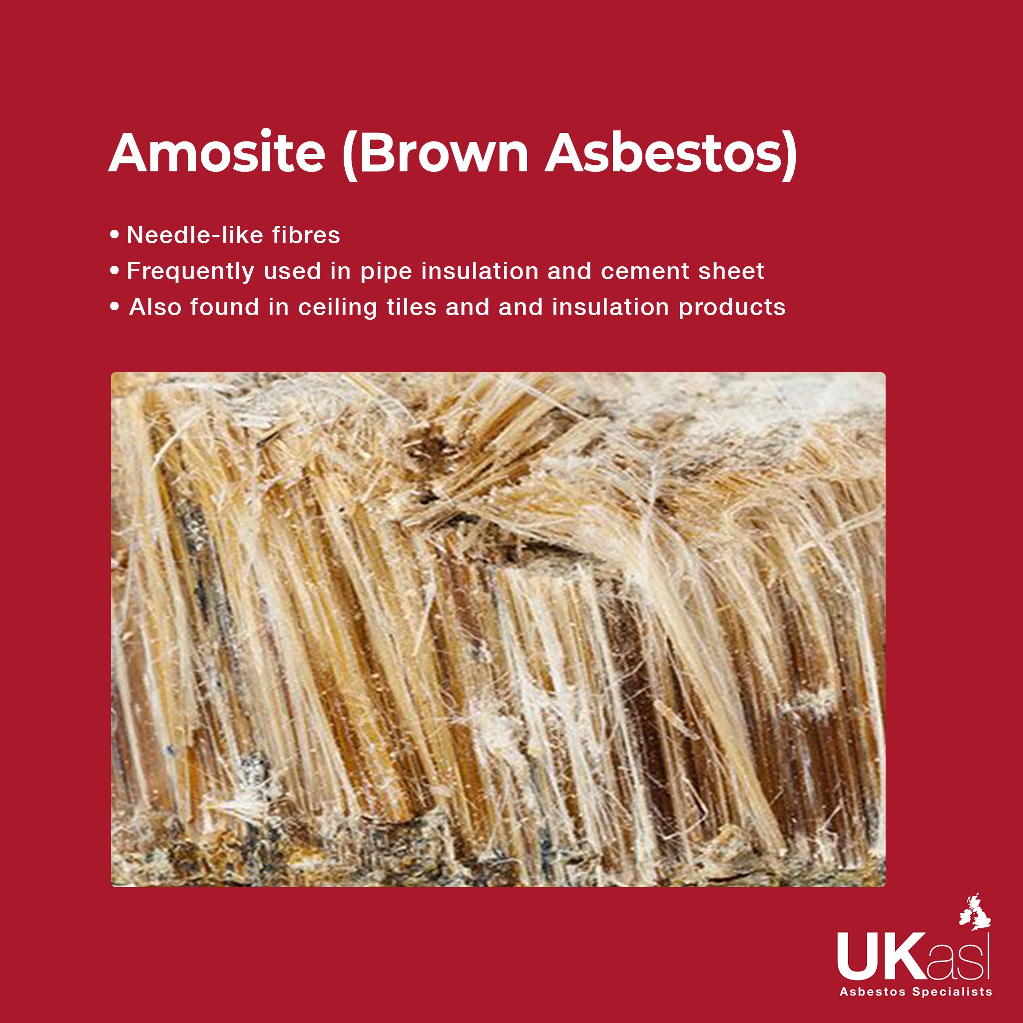 Amosite Asbestos