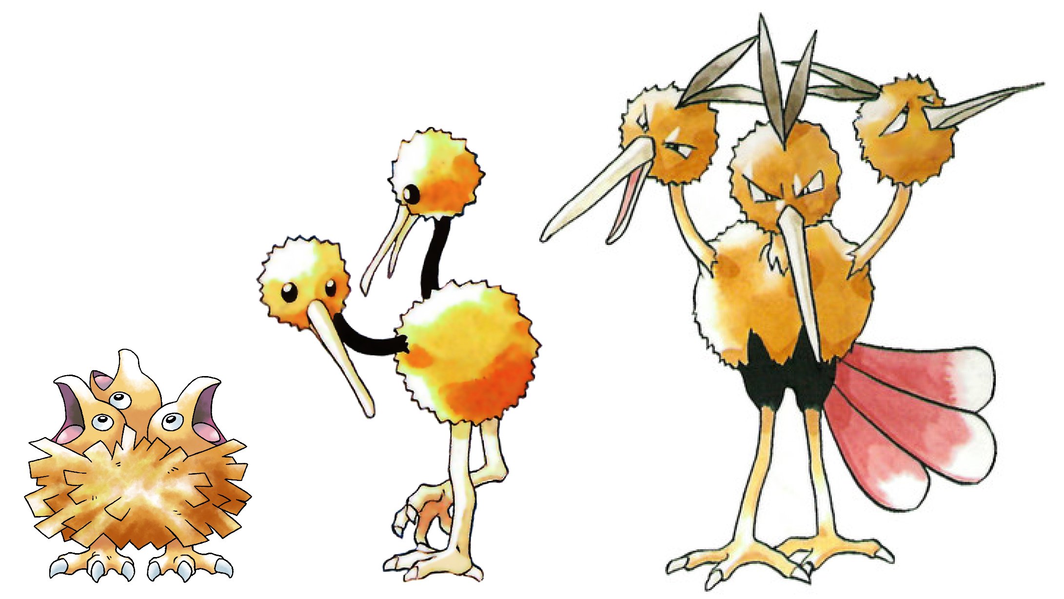 Dodrio Evolution