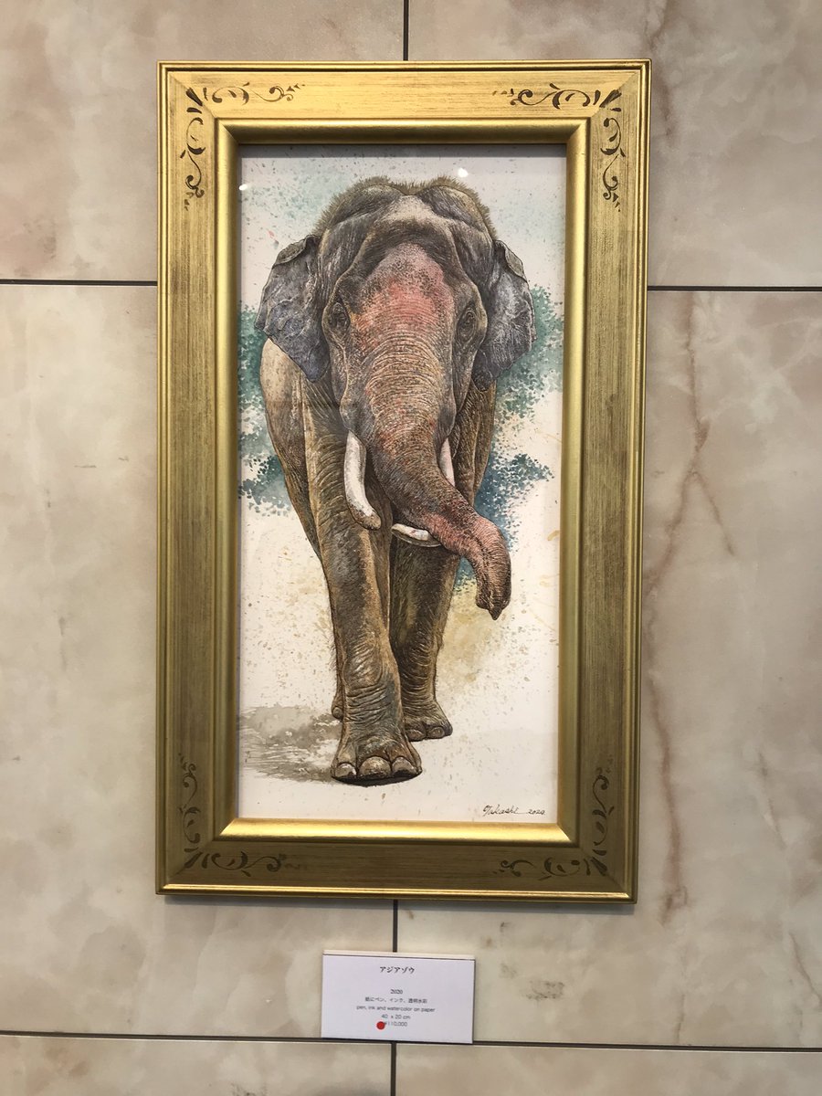 「@azirusi 」小田 隆 Oda Takashiの漫画