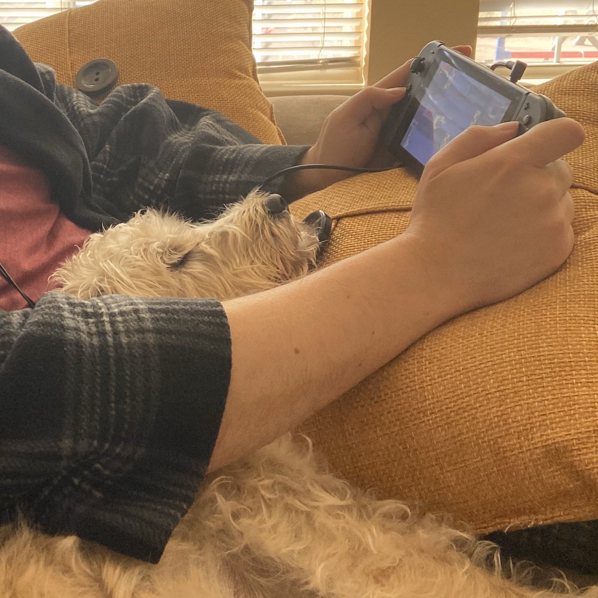 Kynan Pearson (@KynanPearson) さんのイラスト・マンガ作品まとめ (4 件) - Twoucan