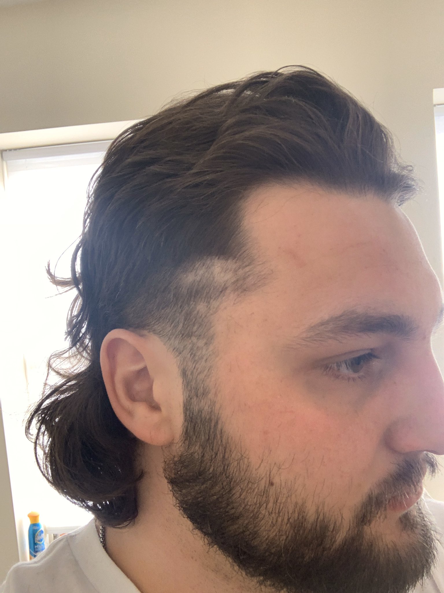 Racing Stripes Haircut